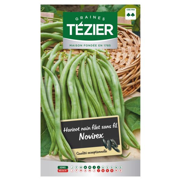 Haricot nain filet sans fil Novirex TEZIER - Graines Schletzer